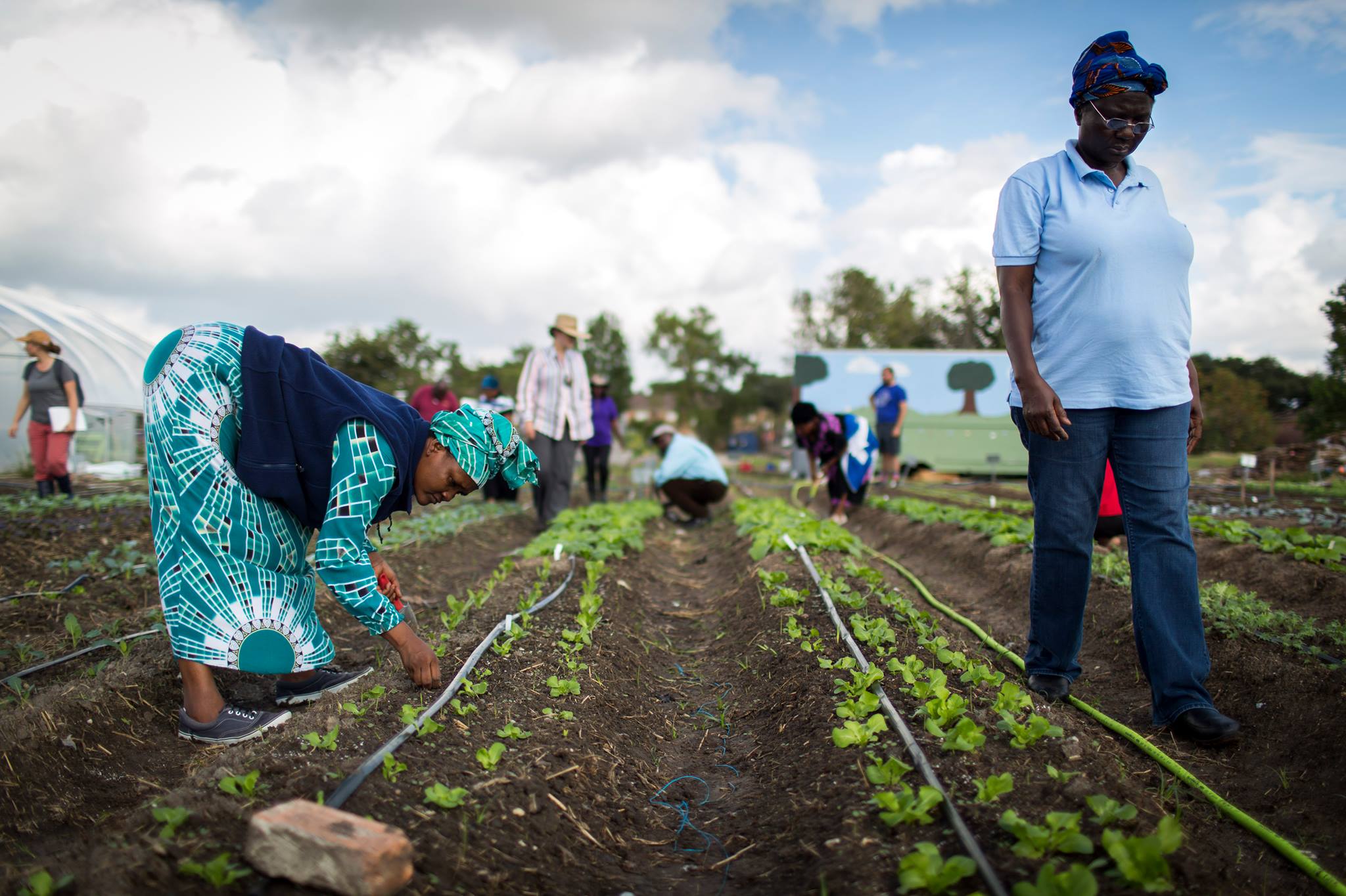 Planting It Forward – Small Deeds Done